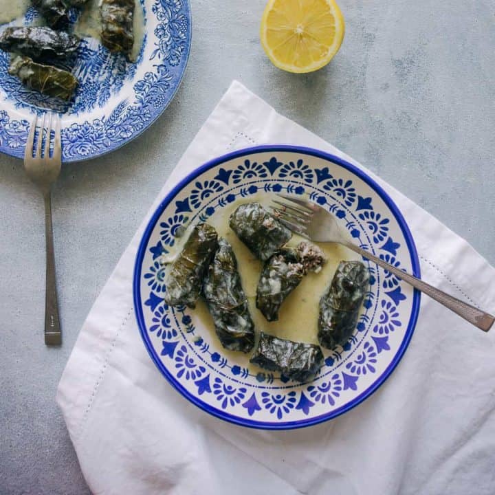 Dolmades - Souvlaki For The Soul